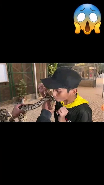🧛 VAMPIRE YT 🧛 PYTHON SNAKE KO KISS KERLI 🤢😱 | #shorts - YouTube