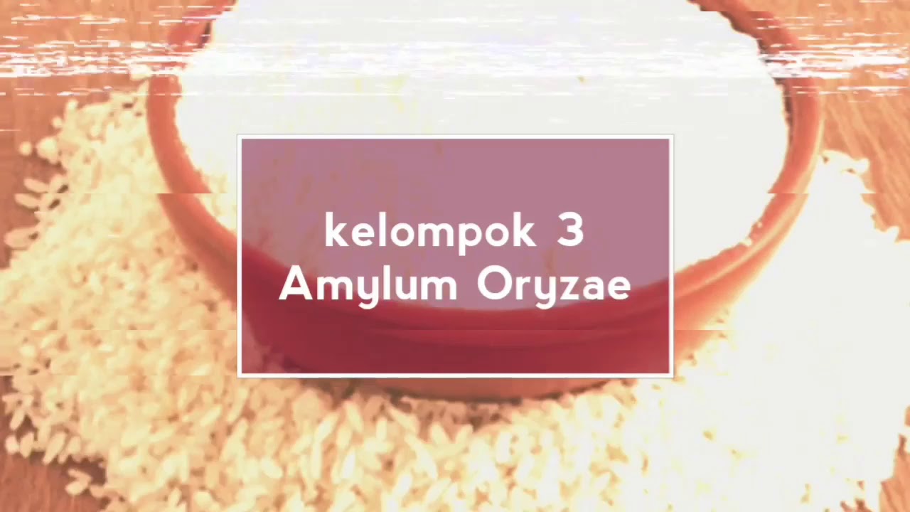 Cara membuat pati beras(amylum oryzae) - YouTube