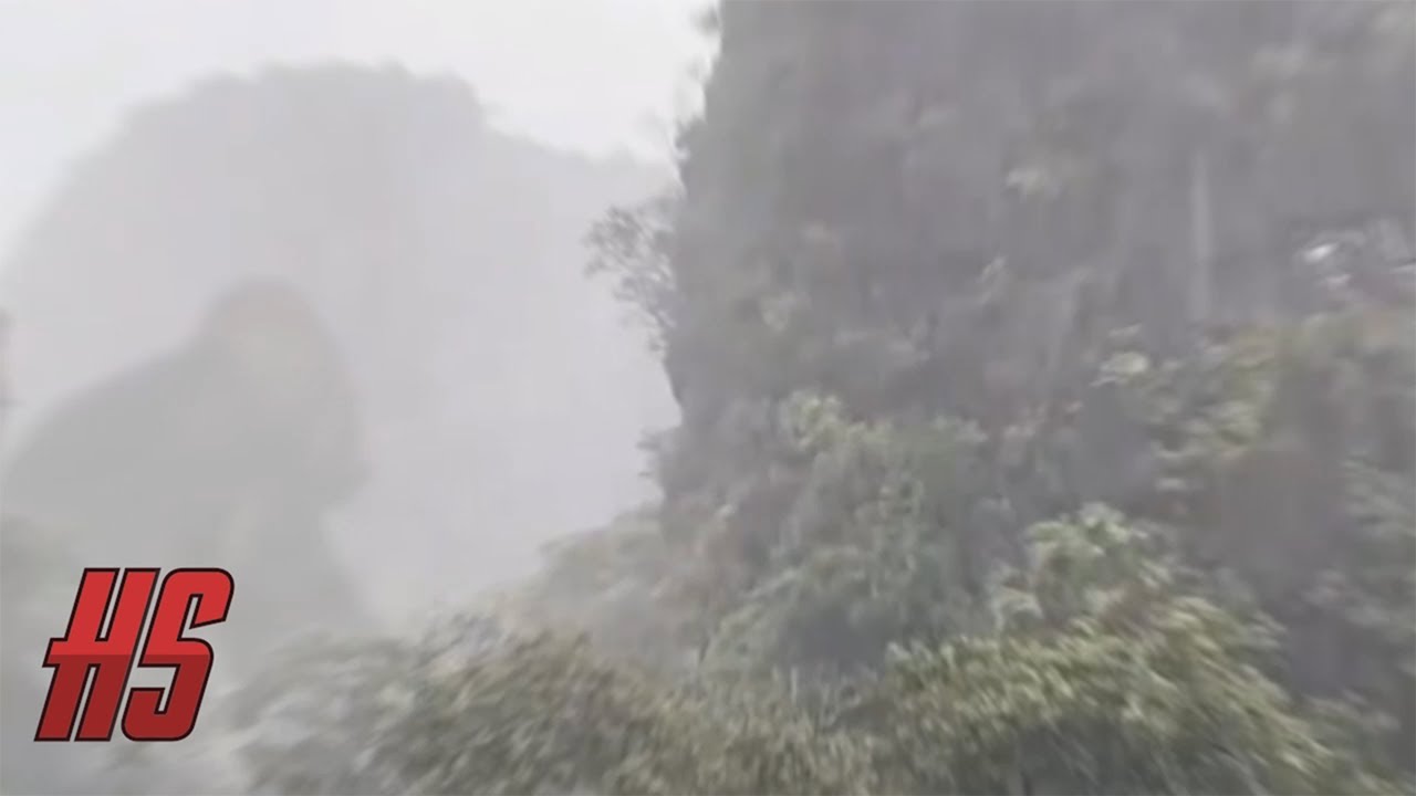 "Kong Spotted Roaming Aklan Philippines Jungle" March 1, 2021 ...