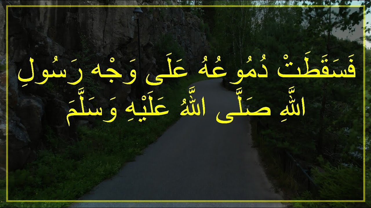 من سيرة ابي بكر الصديق رضي الله عنه أبو بكر الصديق و عمر بن الخطاب