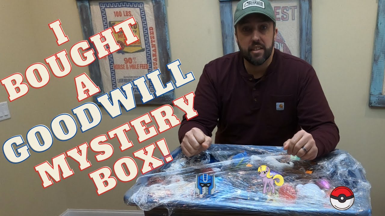 I bought a GOODWILL MYSTERY BOX looking for stuff to sell on EBAY! Did ...
