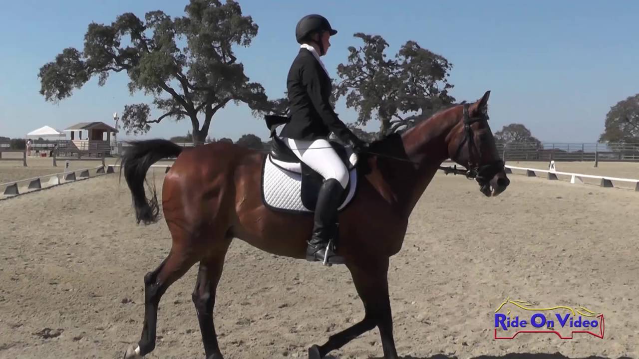 288D Alexandra Warner on Shane's Friend JR Beginner Novice Dressage ...