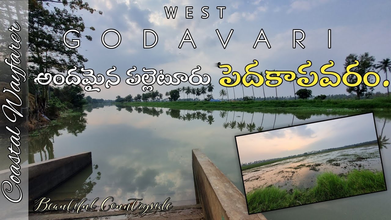 Beautiful Countryside 'Pedakapavaram' West Godavari, AP | Coastal ...