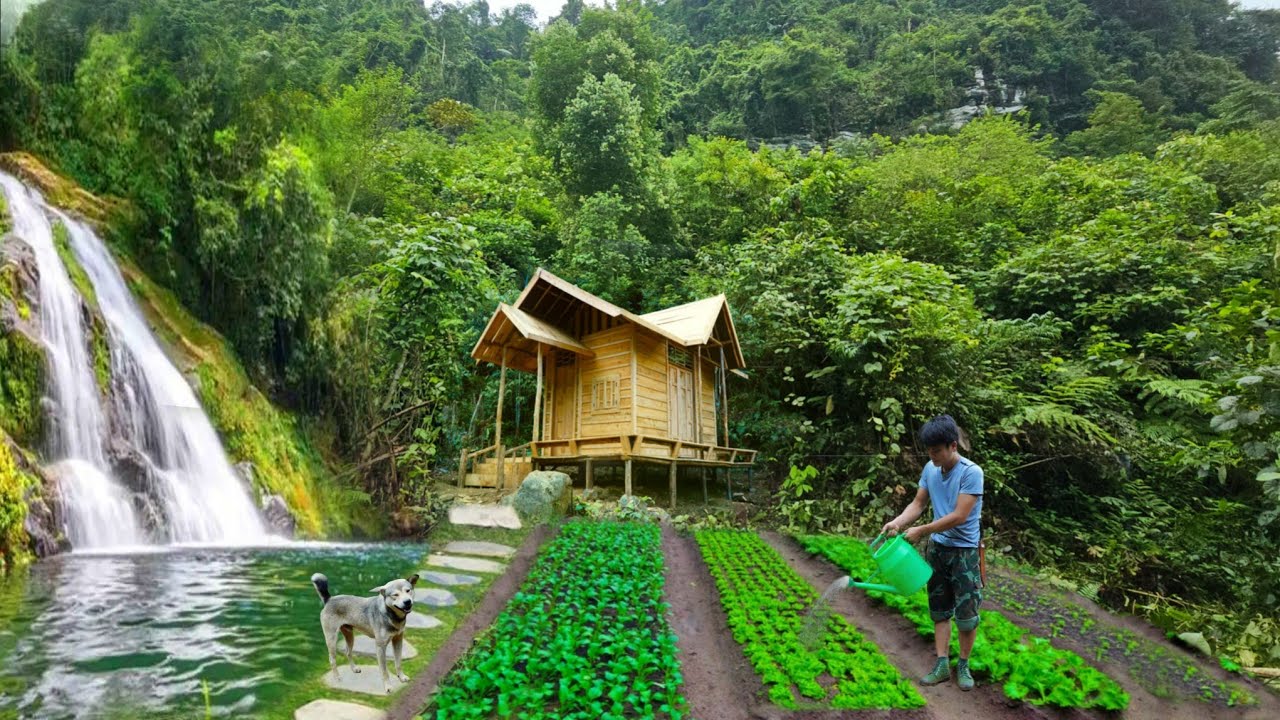 2 months living alone in the forest - Building a house, gardening ...