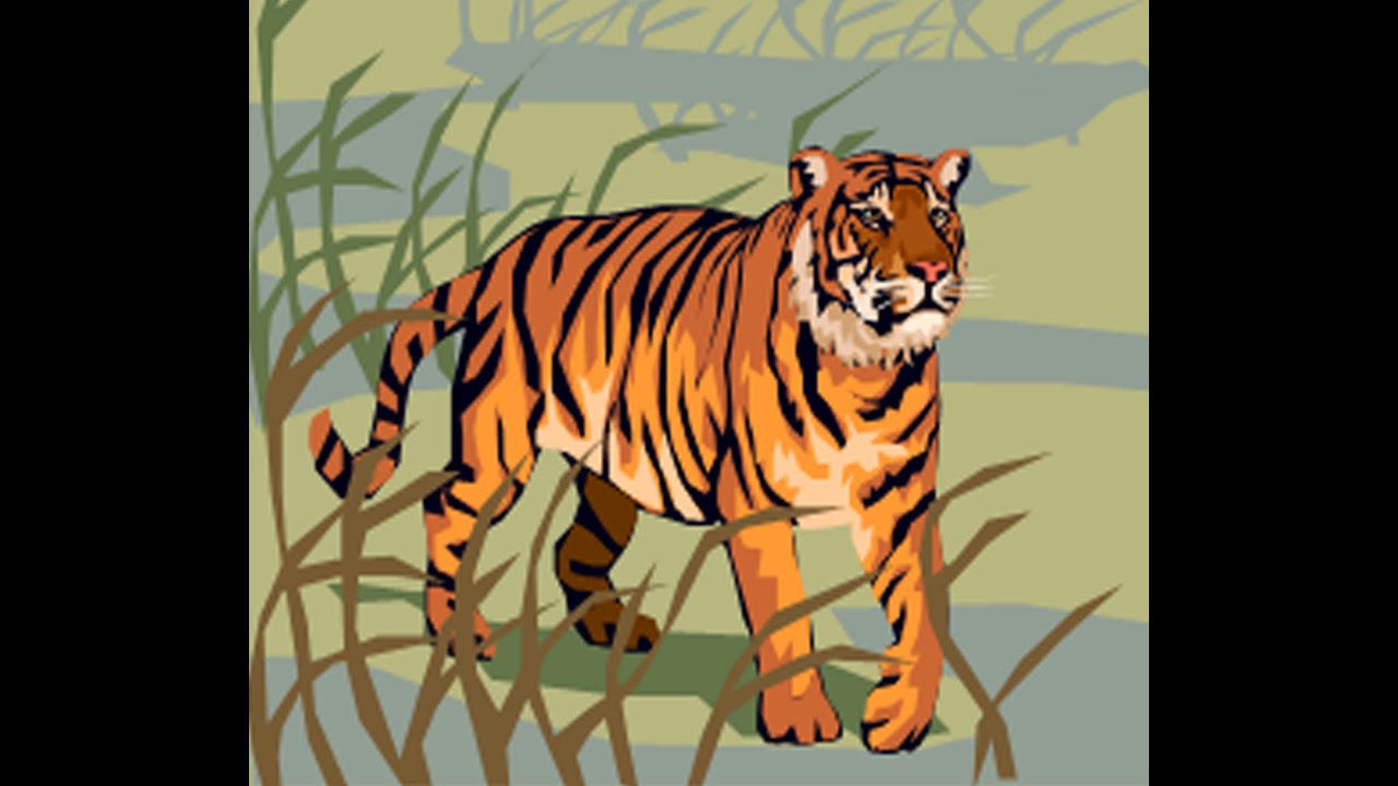 A Tiger & A Donkey Story - YouTube