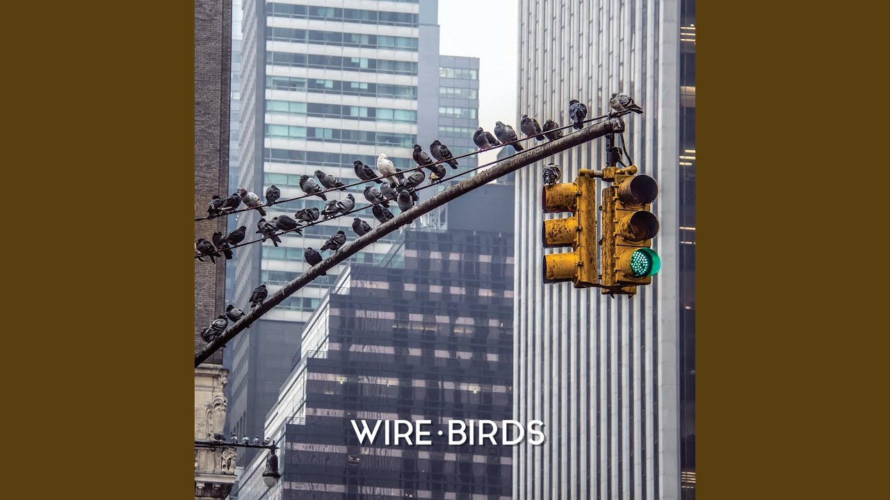 Safe Place To Fall - YouTube