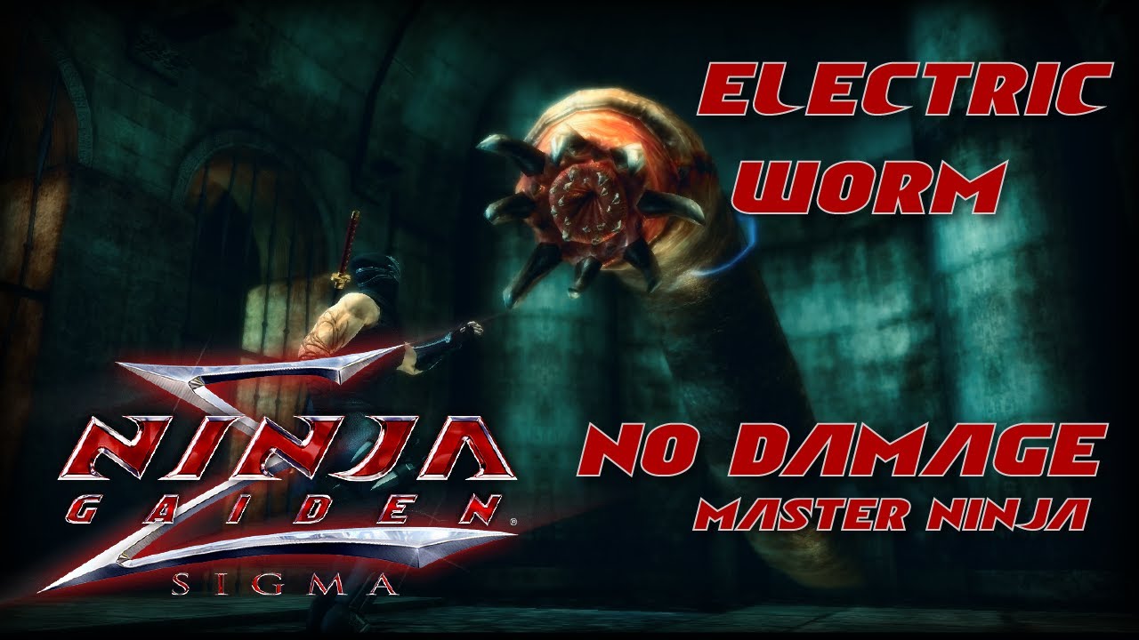 Ninja Gaiden Sigma: Electric Worm - No Damage Master Ninja Different ...