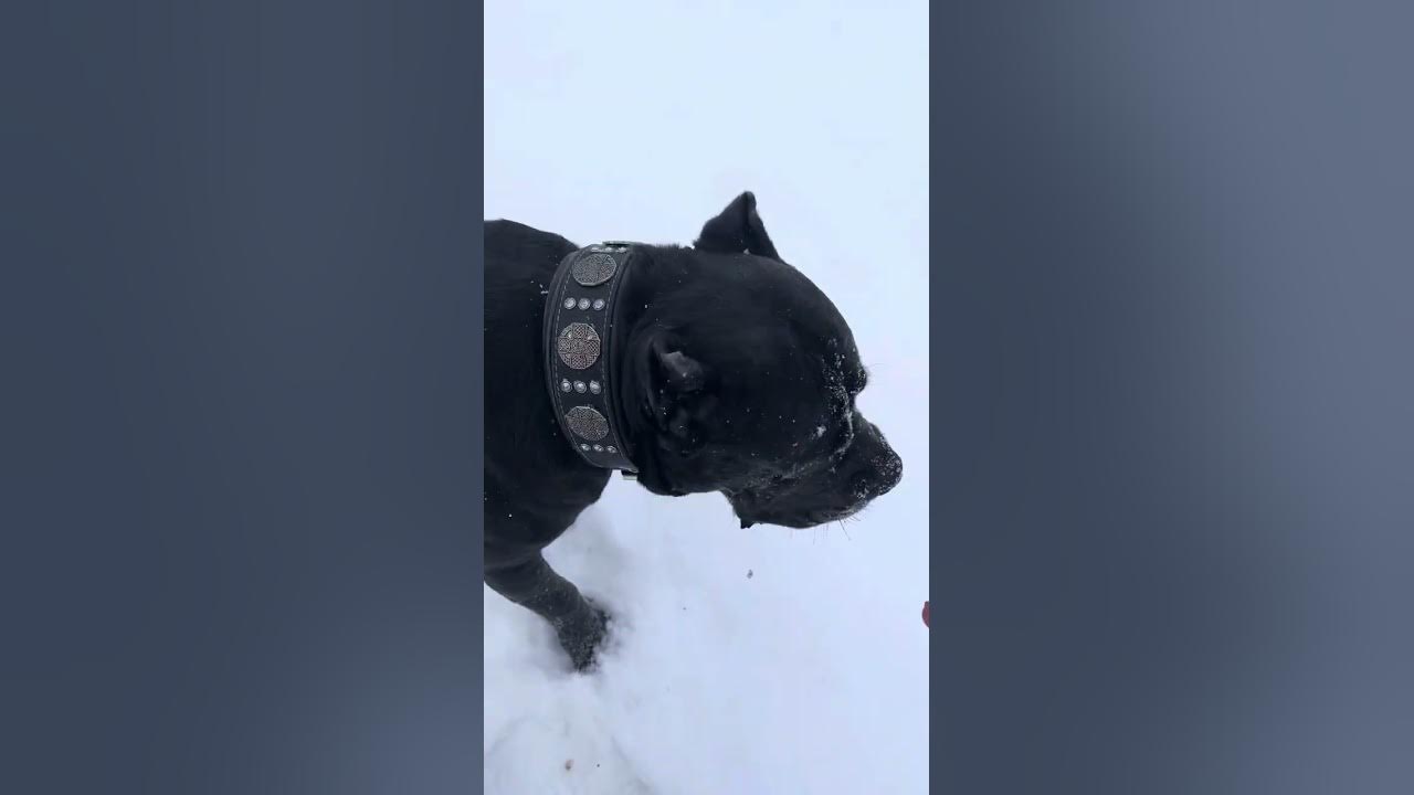 Талисман💙 - YouTube