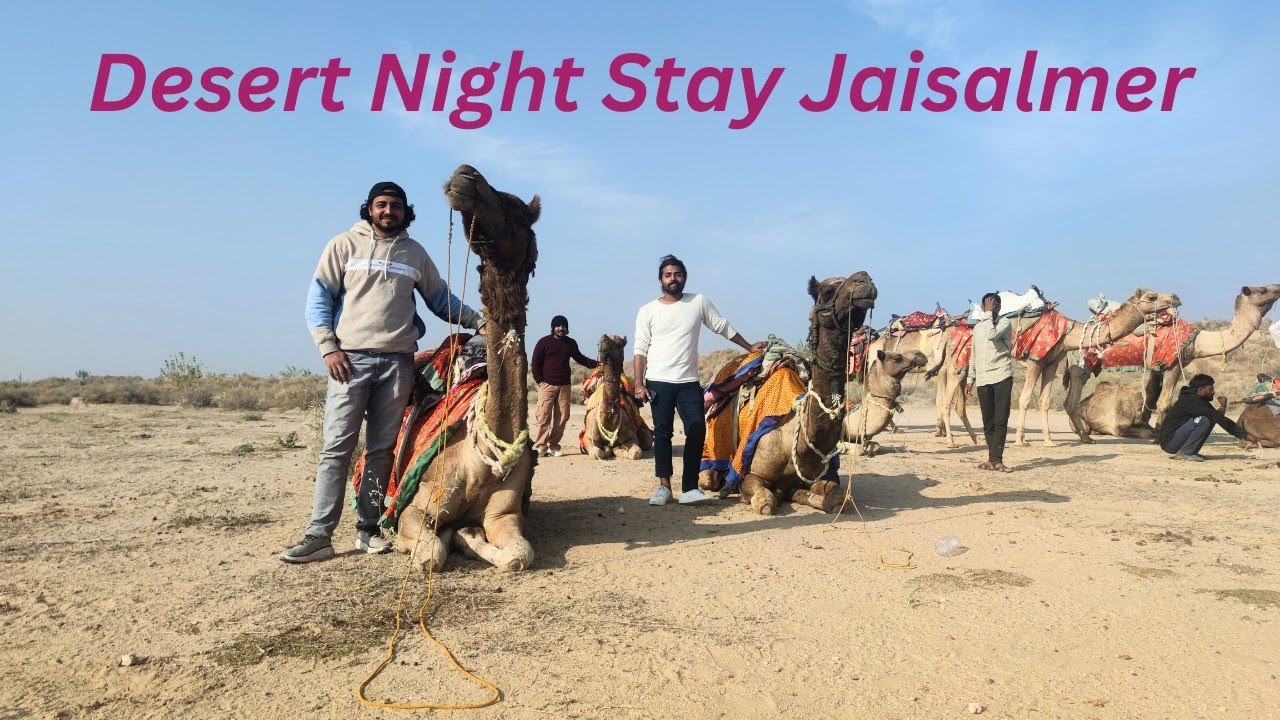 Desert Night Stay in Jaisalmer | Desert Camp | Sam Sand dunes #desert # ...