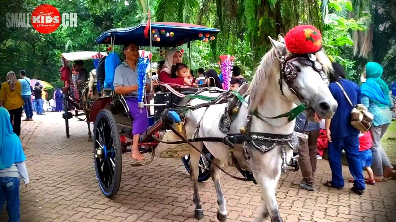 KUDA BENDI / ANDONG / DELMAN / DOKAR - YouTube
