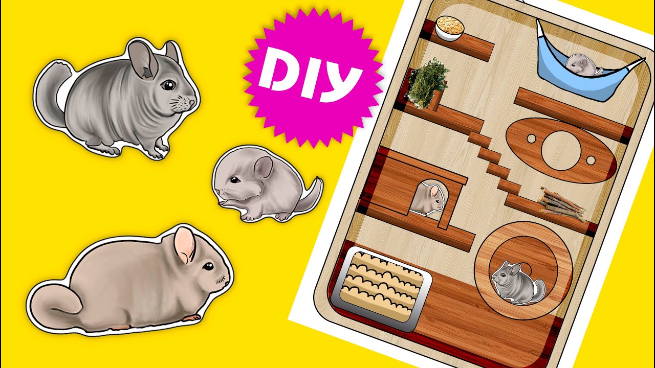 My Favorite Pet - Chinchilla Paper House - Paper Craft Game book ...