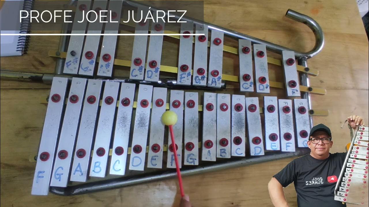 CAMPANERO / Tutorial para Lira - YouTube