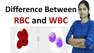 Difference between RBC and WBC in Hindi | Doovi
