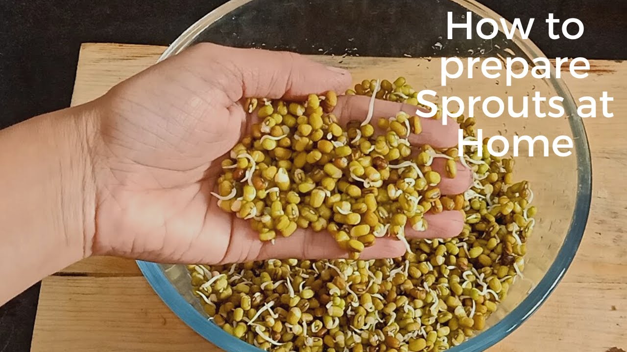 |ಮನೆಯಲ್ಲಿ ಮೊಳಕೆ ತಯಾರಿಸಲು ಸುಲಭ ಮಾರ್ಗ| How to prepare Sprouts at Home ...