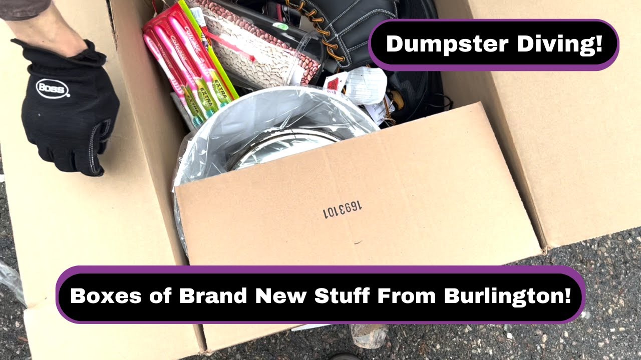 We Found Boxes of Brand New Stuff While Dumpster Diving! - YouTube