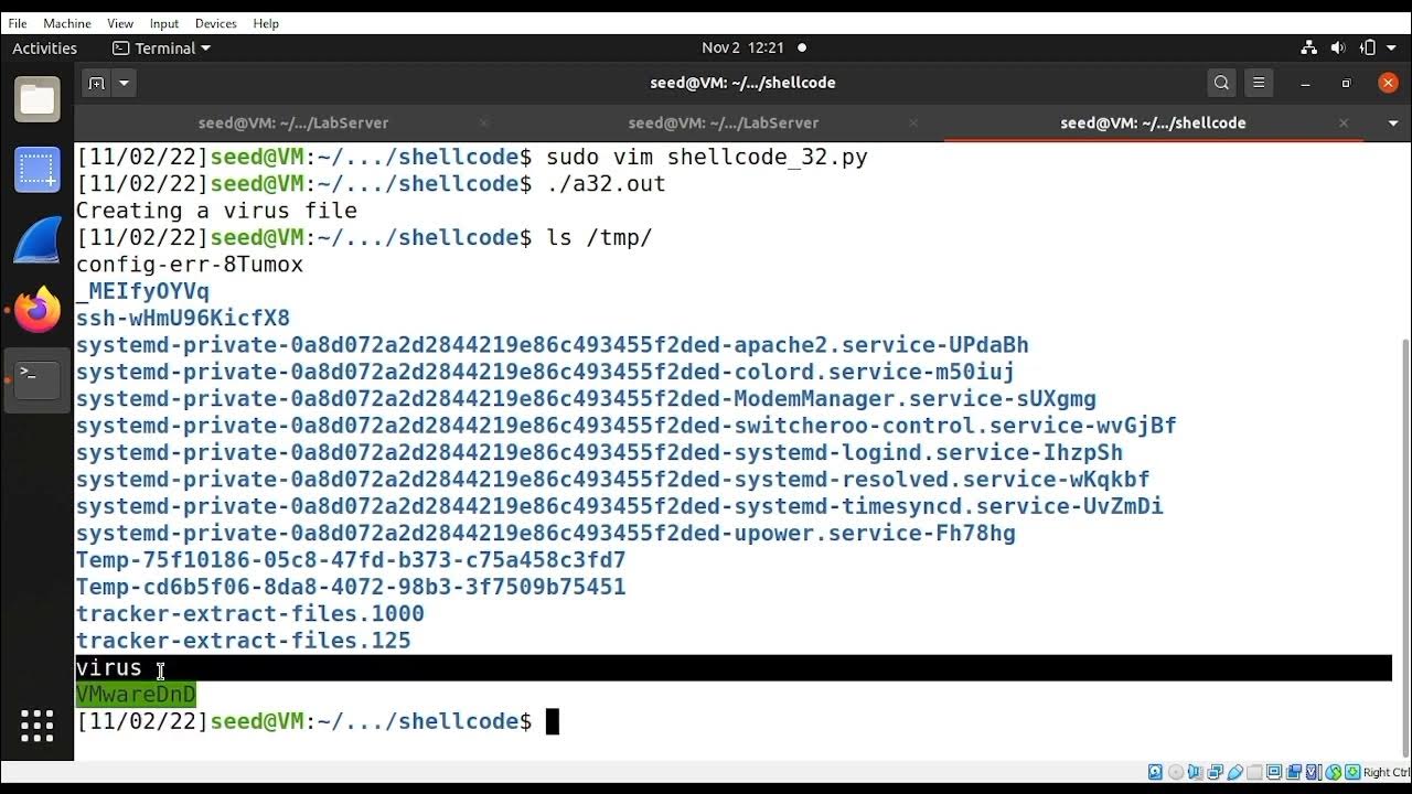 Seed Lab | Buffer OverFlow | BSIT-M2-19-40 - YouTube