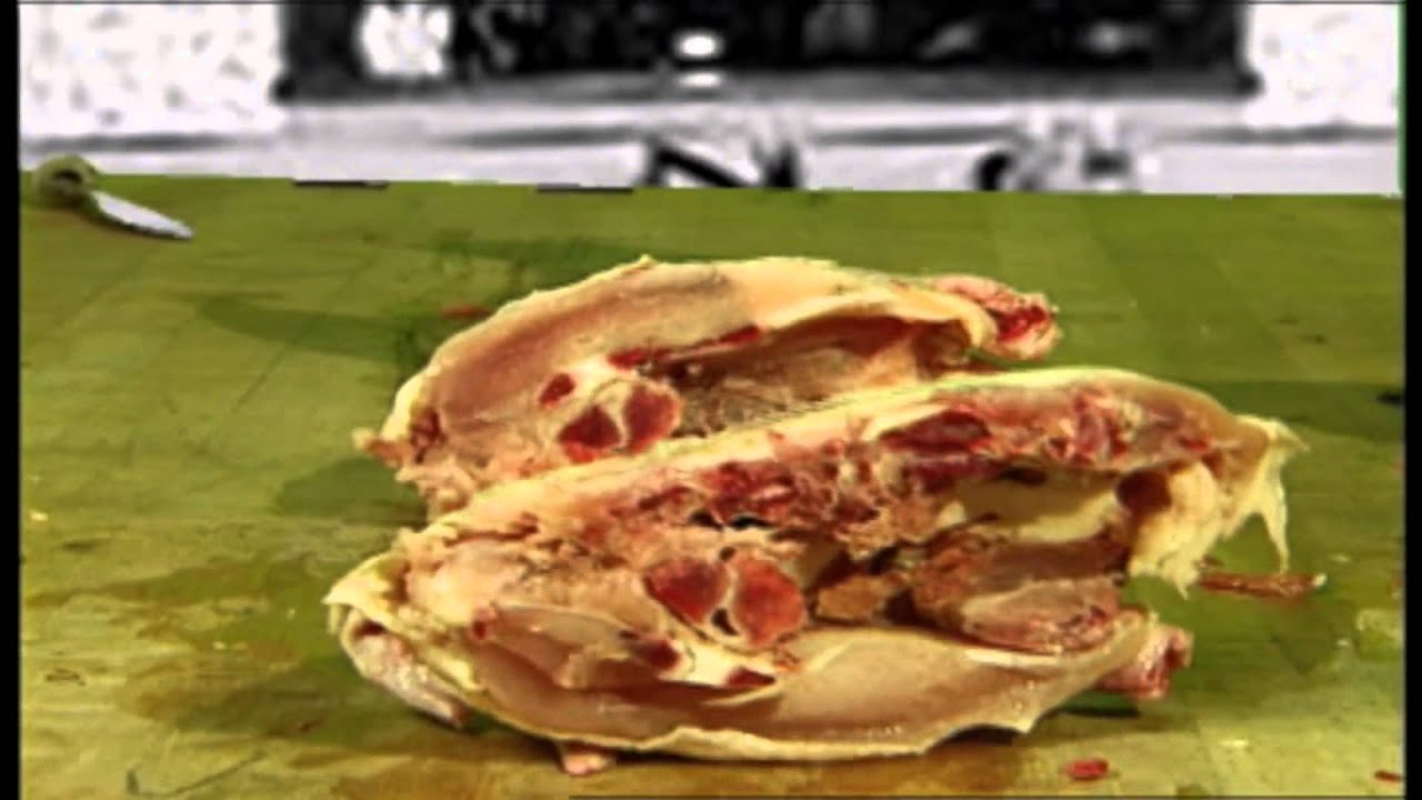 Cooking With Scorpion [HD] - YouTube