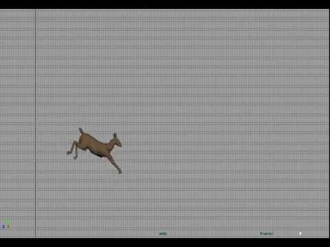 deer running animation single cycle _ Ravi Kumar Garikapati.avi - YouTube