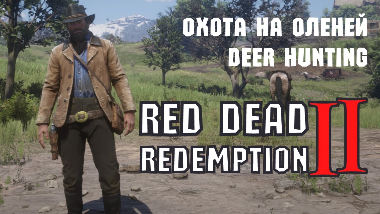 Red Dead Redemption 2, PS4 PRO, walkthrough part 3, RDR2 прохождение ...