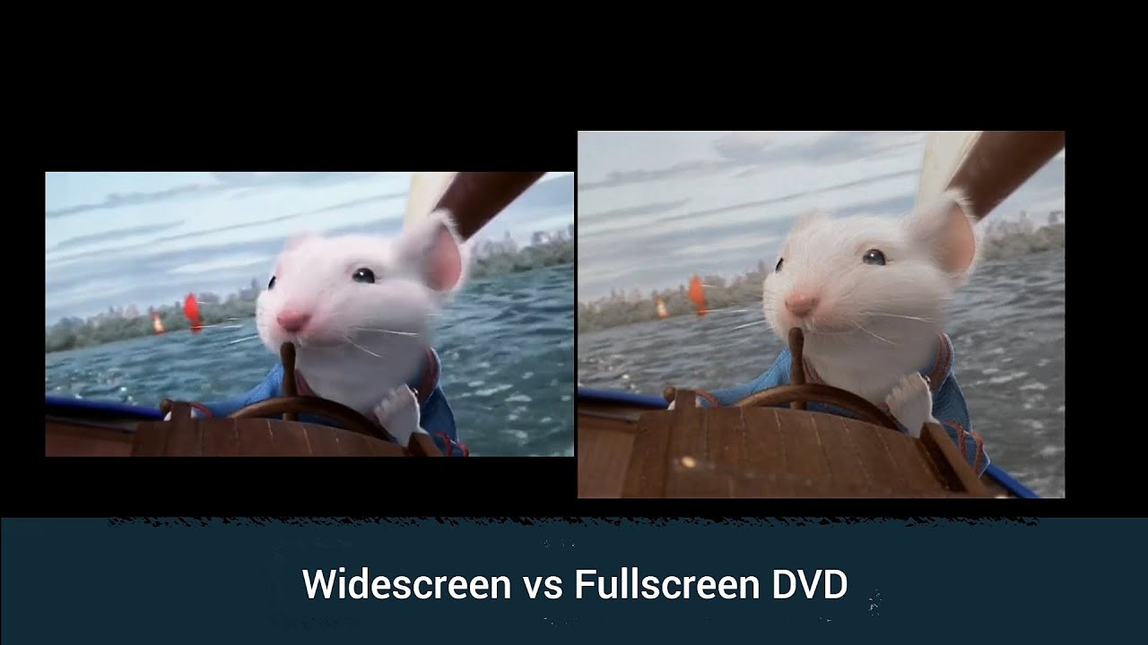Stuart Little Widescreen vs Fullscreen DVD Boat race scene - YouTube