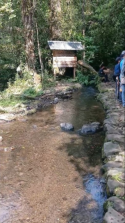 telaga biru - gunung gede pangrango via cibodas #shorts - YouTube