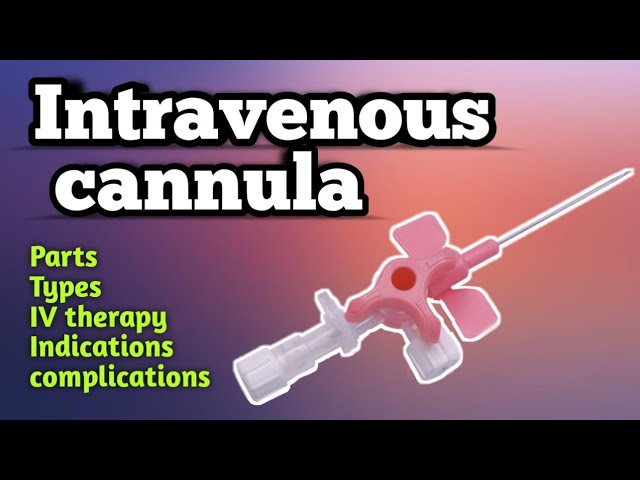 Parts Of Intravenous Therapy