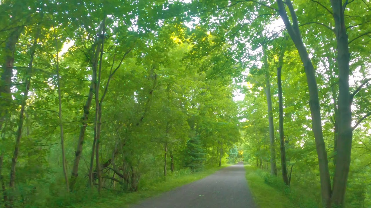 30 Day Challenge Day 7/30 : Hojack Trail - YouTube