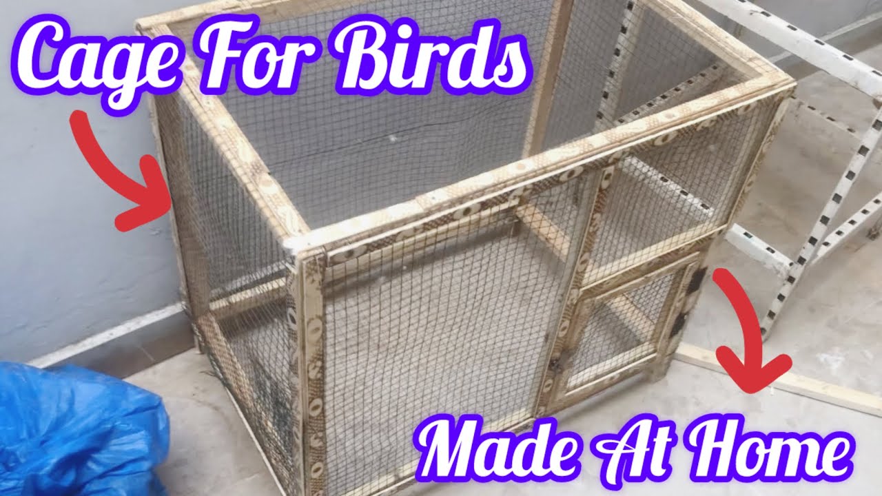How To Make Cage For Birds At Home Cage For Birds Made At Home how-to-make-cage-for-birds-at-home-cage-for-birds-made-at-home