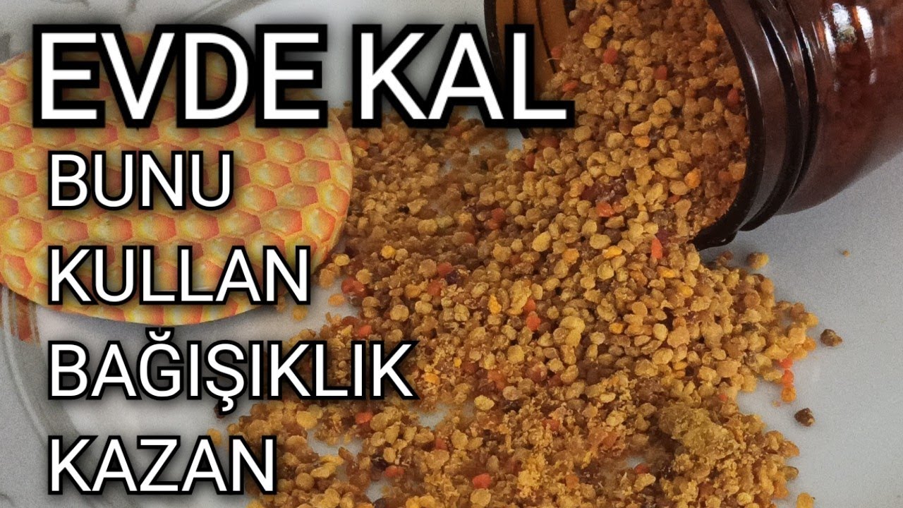 Arı Poleni Nedir Nasıl Kullanılır - YouTube