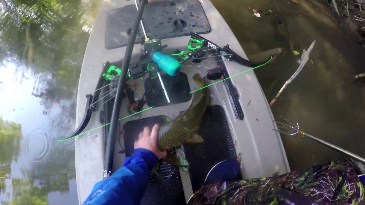 Bow Fishing Carp In Texas - YouTube