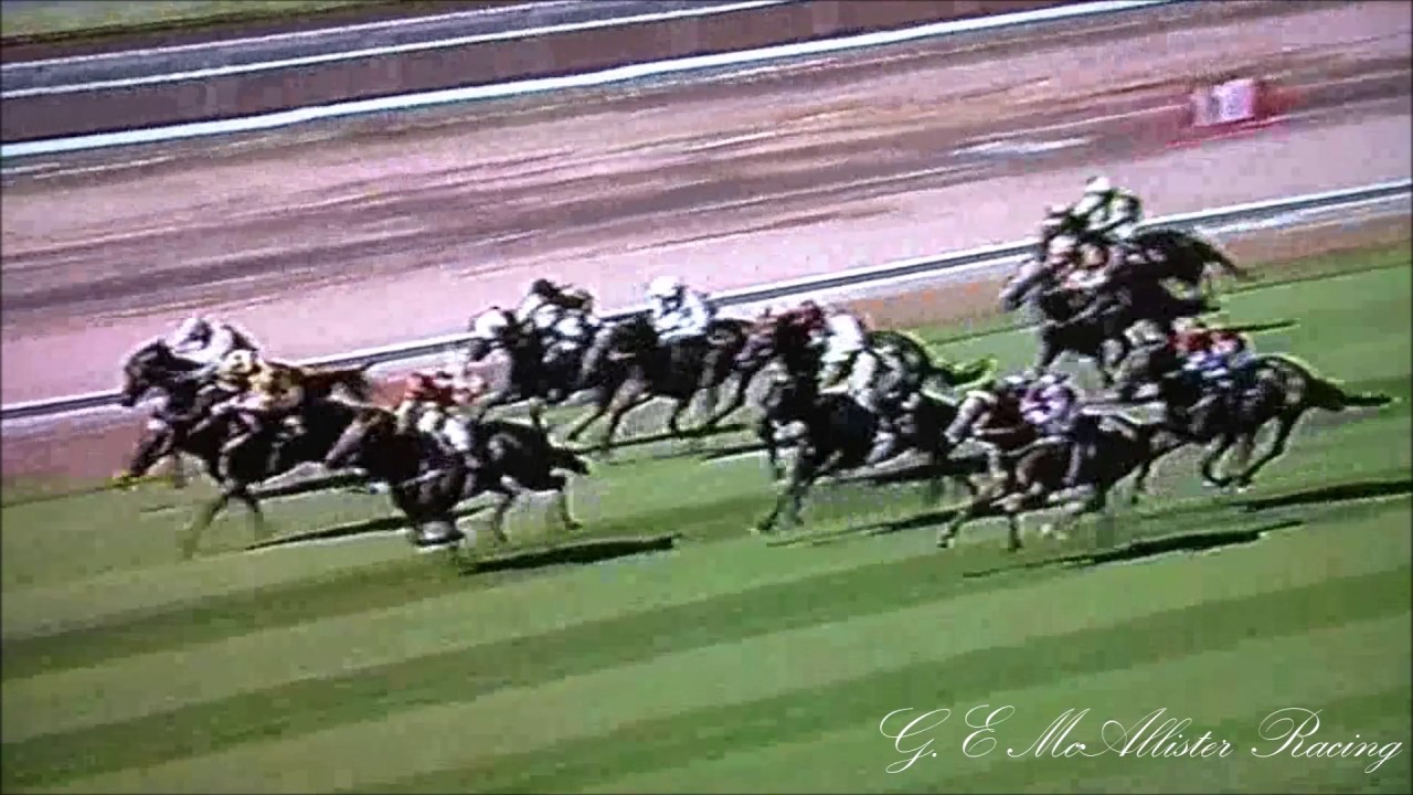 Horse Racing Promo (93) - YouTube