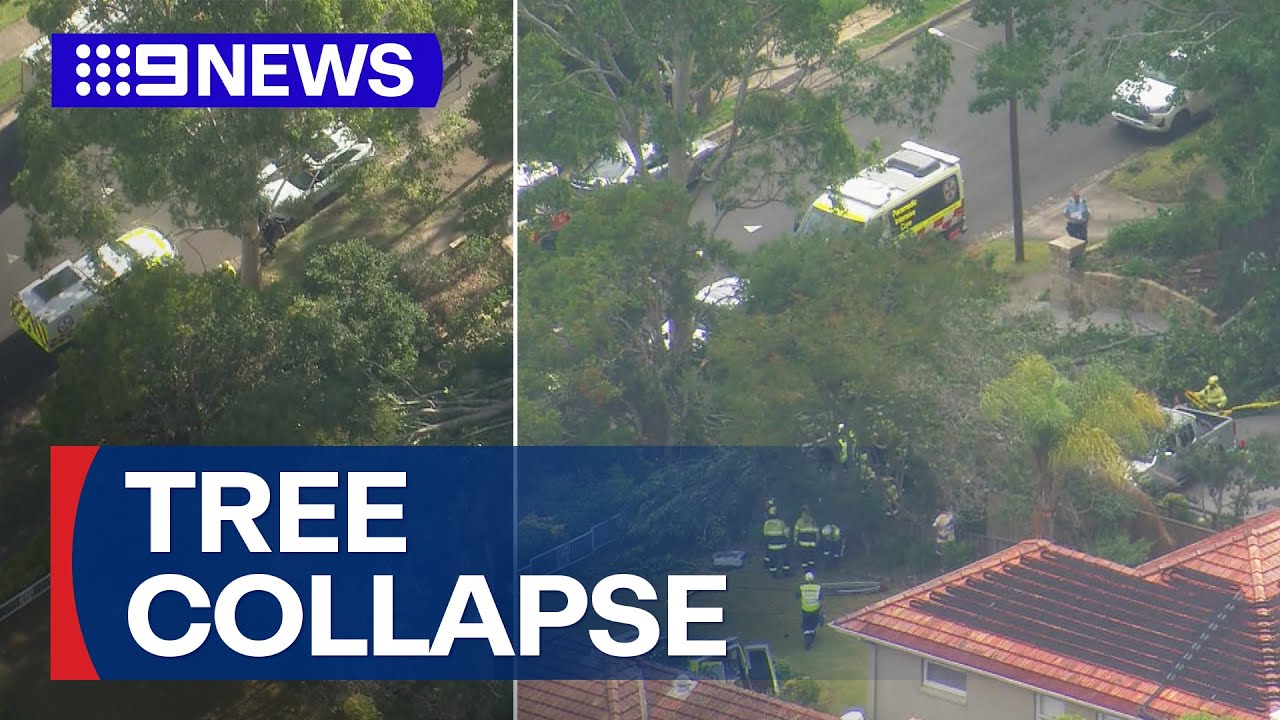 Two people trapped, one injured after large tree branch falls in Sydney ...