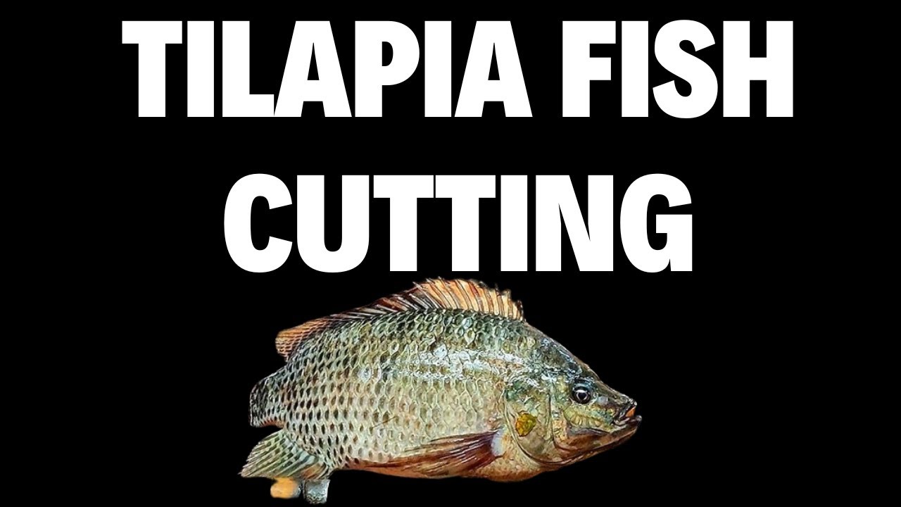 Fish Cutter Job Description at Lynda Rahman blog