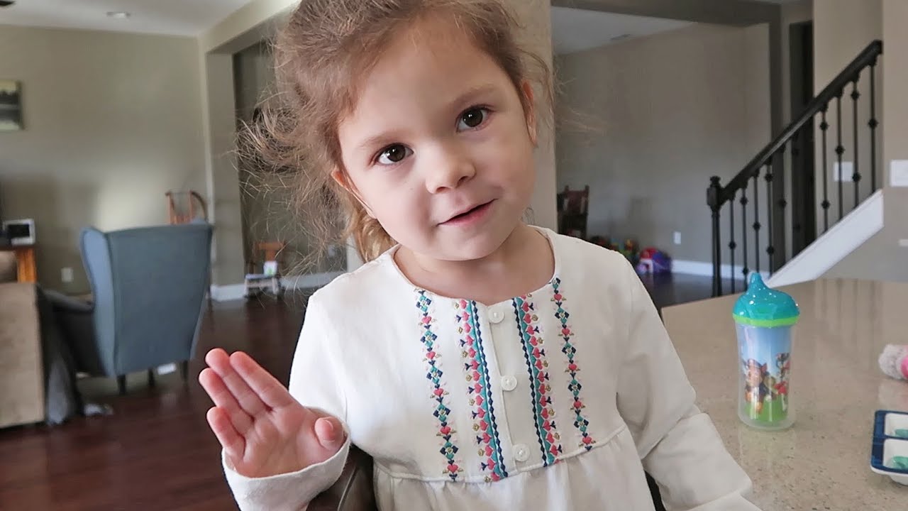 Little Gamer Explains How To Play - YouTube