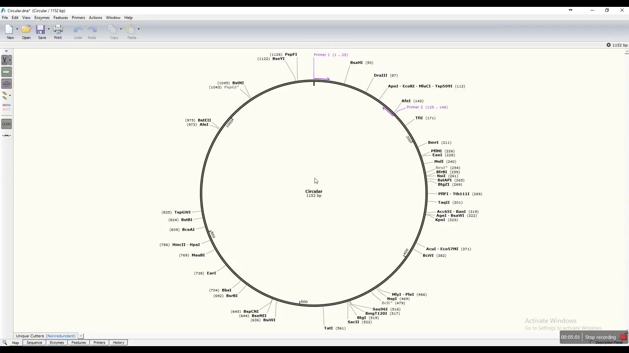 Snapgene-Introduction part I - YouTube