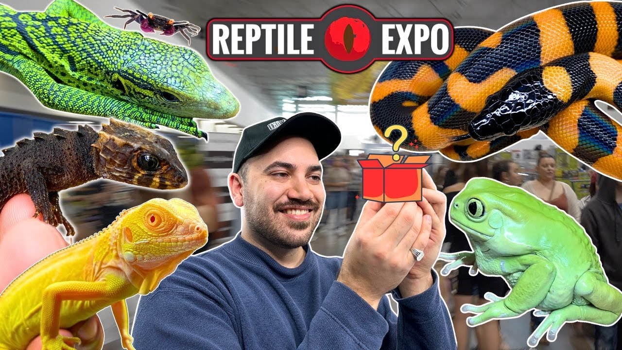 I BOUGHT 2 VERY RARE PETS AT THE CANADIAN REPTILE BREEDERS EXPO 2025 ...