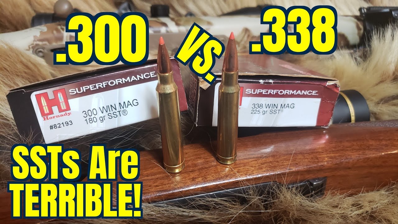  300 Win Mag Vs 338 Win Mag Hornady Superformance SSTs YouTube