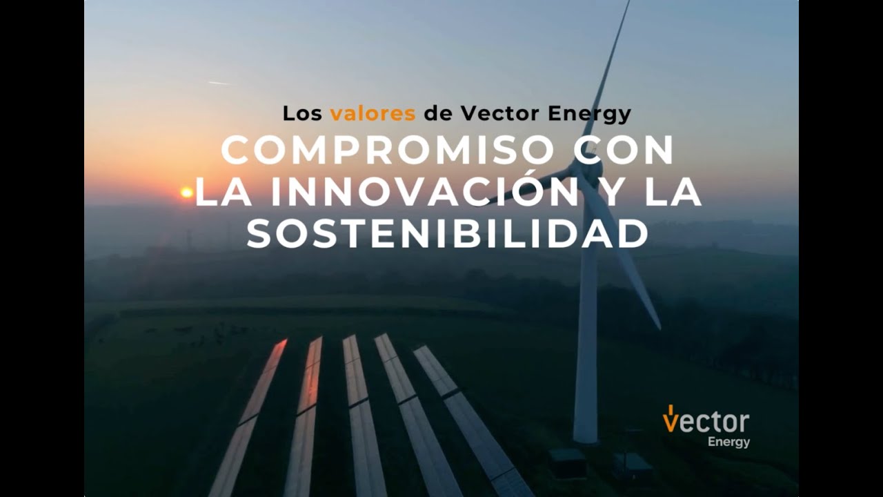 News - Vector Energy