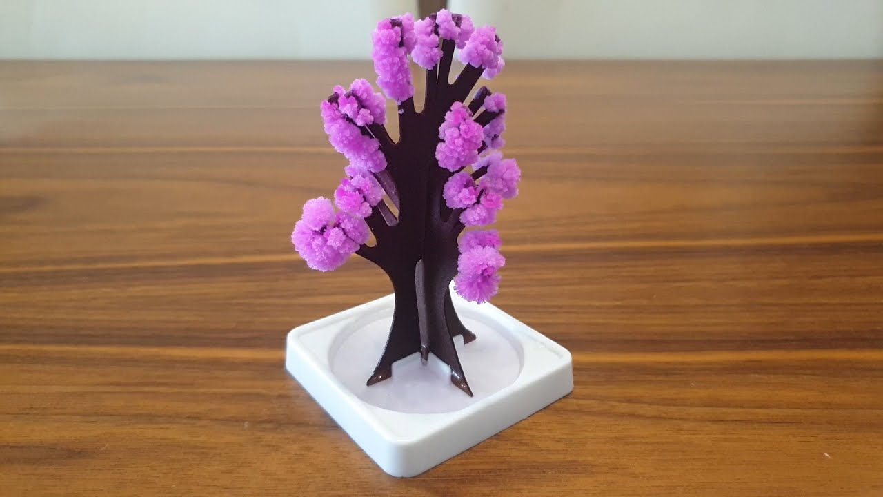 Magic Sakura Paper Tree Blossom - YouTube