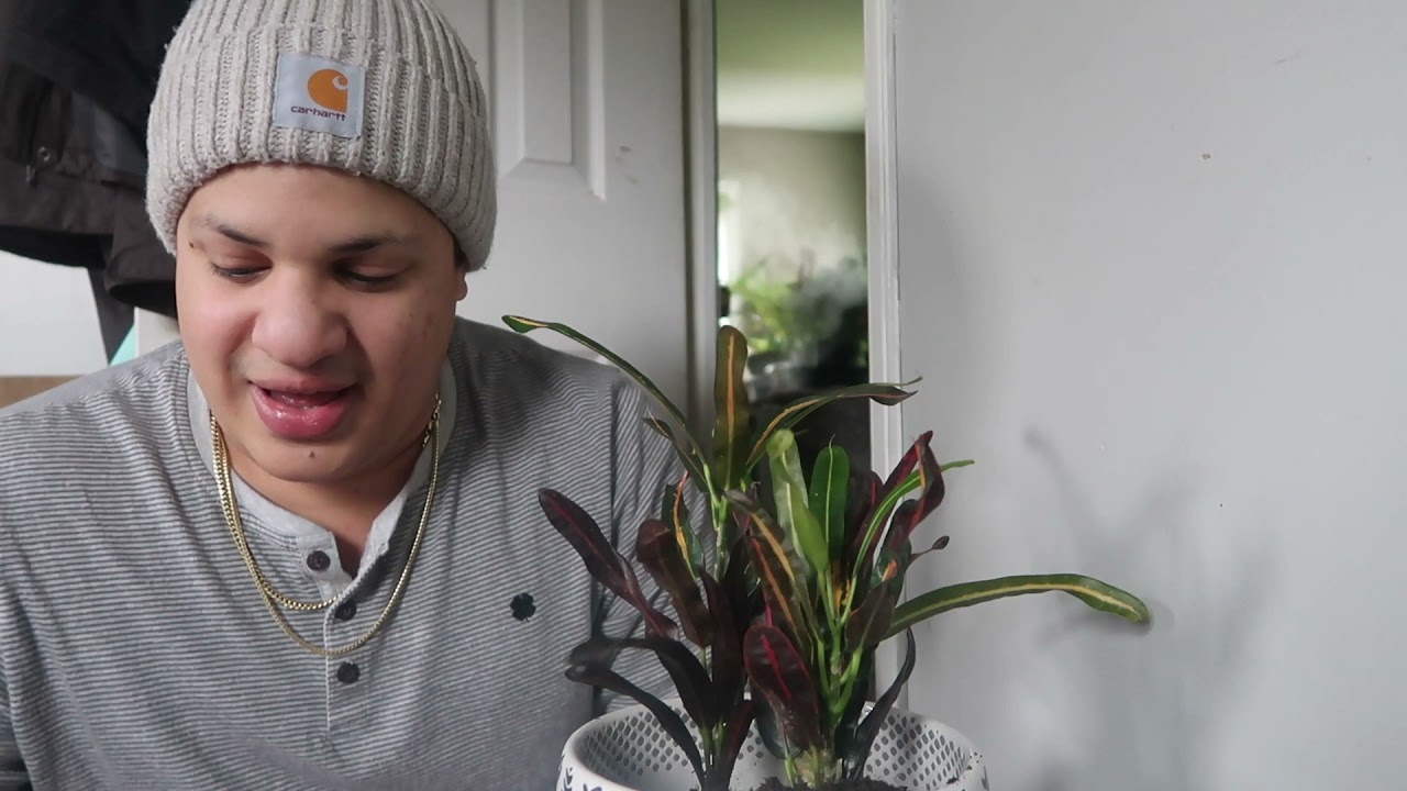 Luna Croton - YouTube