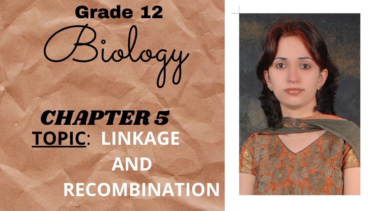 Linkage and Recombination class 12 I principles of Inheritance and ...