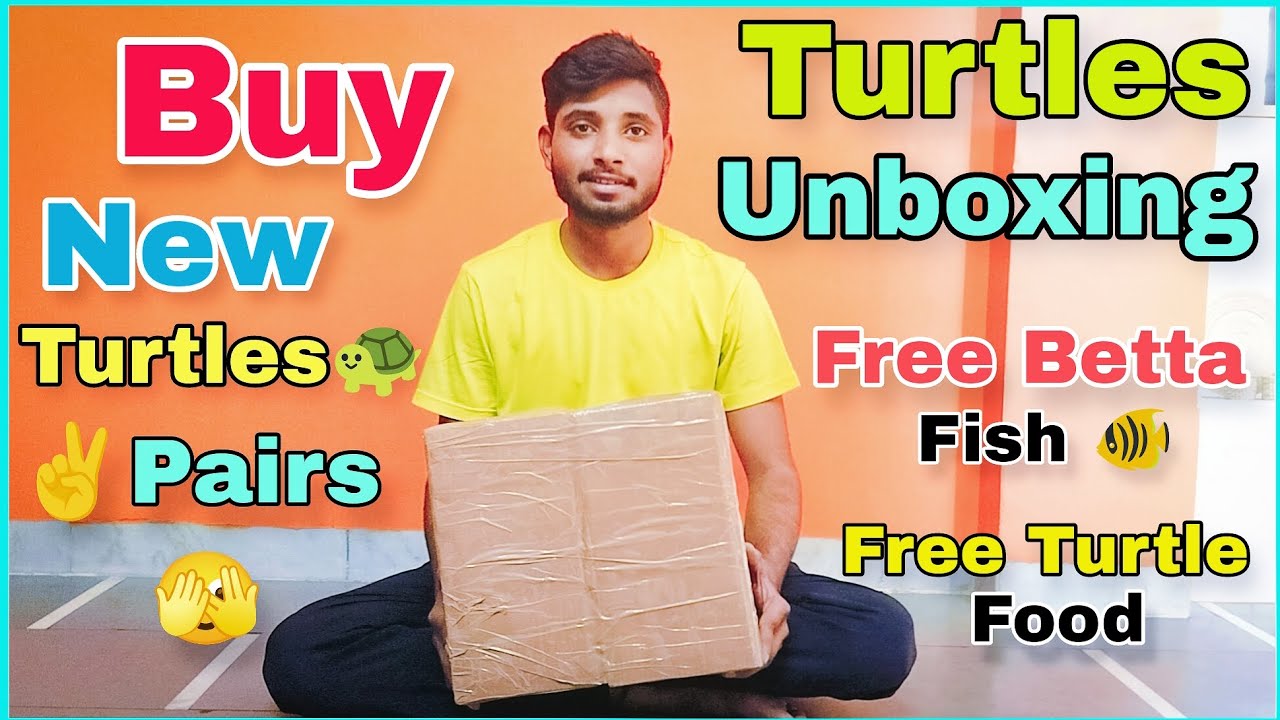 Turtle unboxing 🐢 Red eared slider and cucumber slider turtle unboxing ...