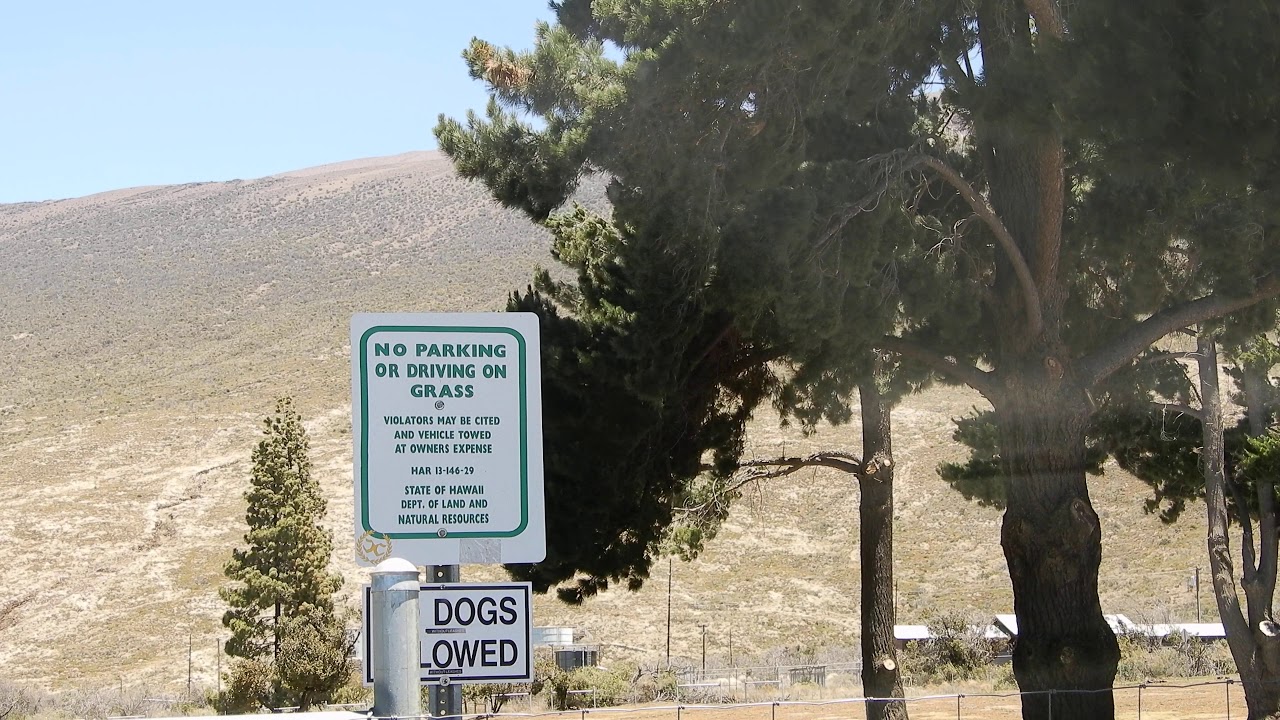 ｛マウナ・ケア州立公園｝（Gilbert Kahele Recreation Park）DSCN0399 - YouTube