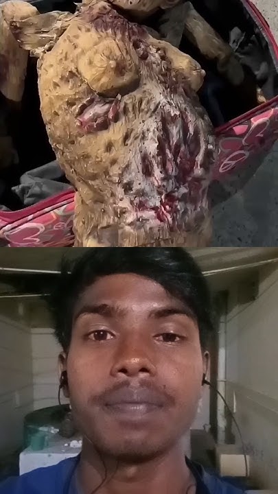 TRY NOT LAUGH 😂|| WAIT FOR END || FRE MOJ PART 96 #shorts #funny #memes#reaction - YouTube