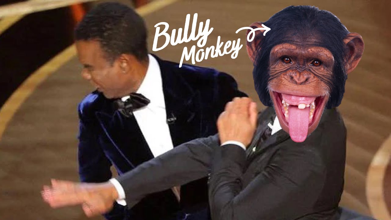 Funniest Animals - Bully Monkey - YouTube