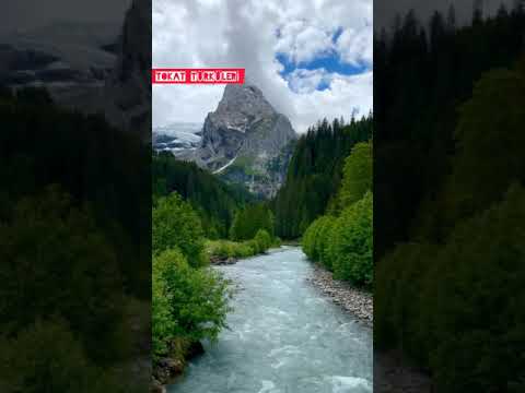 YAYLA HAVASI & GÜLOĞLAN