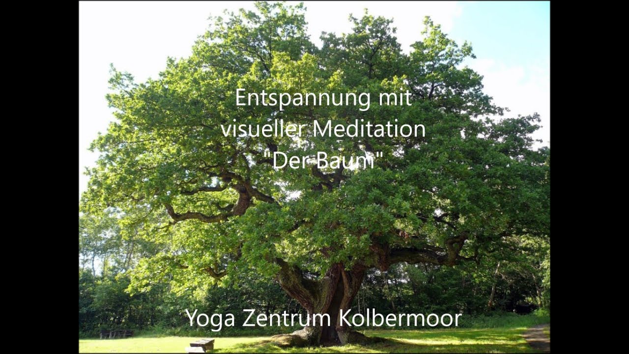 Entspannung mit visueller Meditation "Der Baum" - YouTube