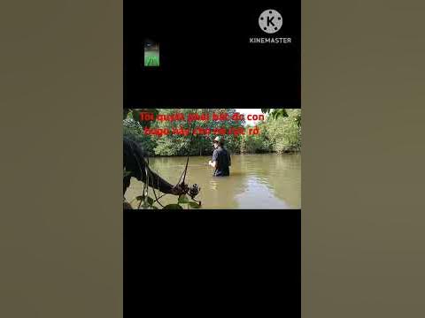 Phải quyết bắt cjo dc con hugo 27kg. - YouTube