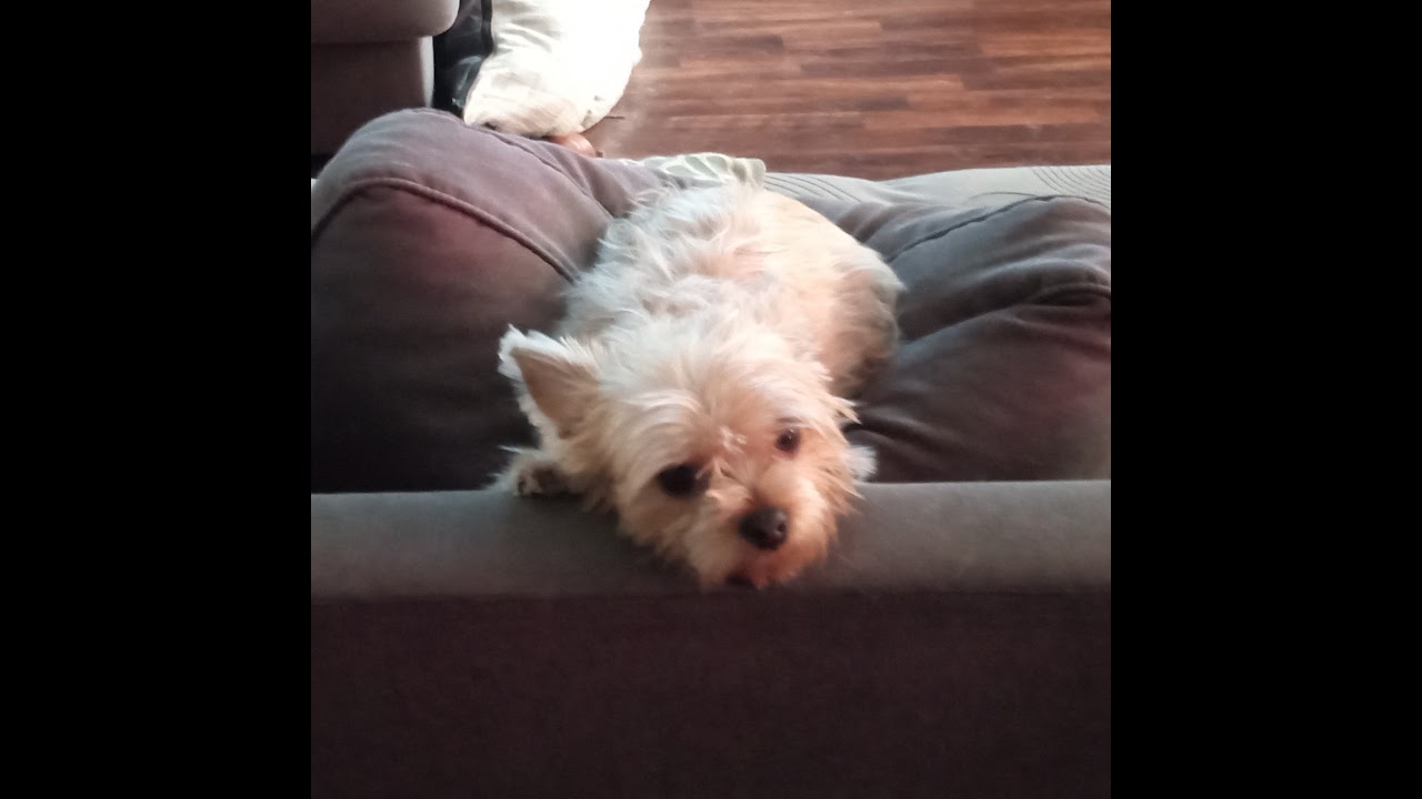 spawning phantom meg hopefully (aurora event) - YouTube