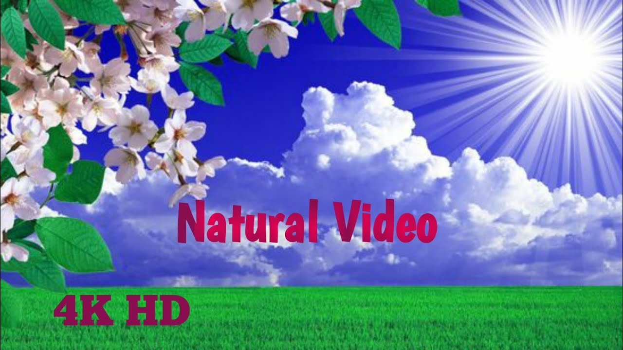 NATURAL AMAZING (HD 4K VIDEO) Beautiful Natural Colourful Video 📸 || 4k ...